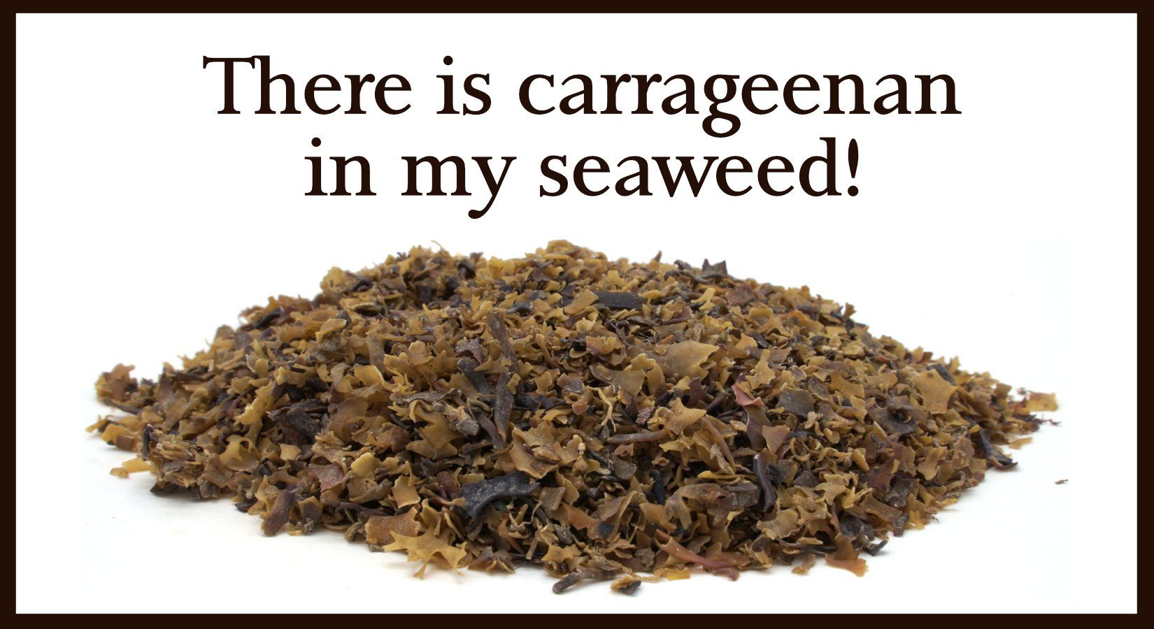 There’s Carrageenan in My Seaweed! Is This a Bad Thing?