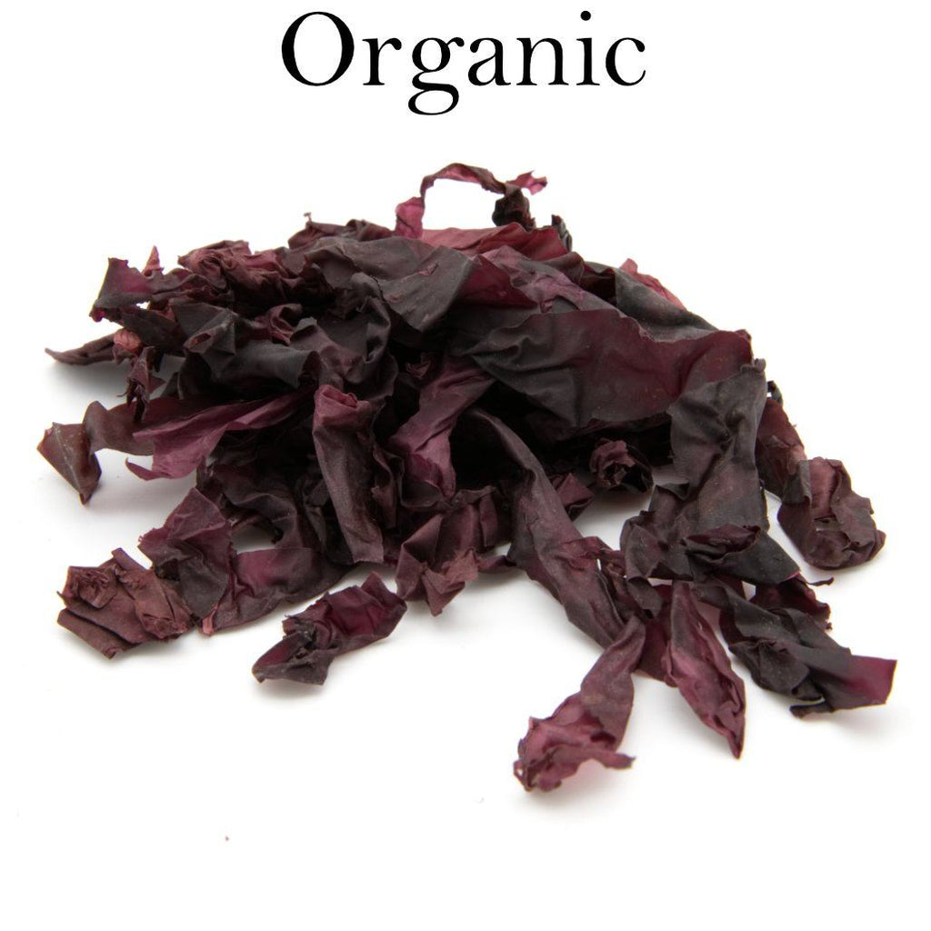 Organic Dulse Whole Leaf Bulk (Palmaria palmata) - Wild-Harvested Atla ...