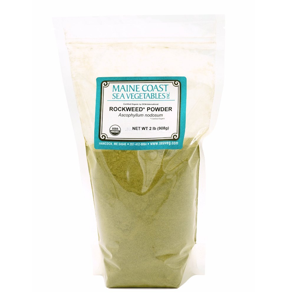 Organic Rockweed Powder (Ascophyllum nodosum) - Wild-Harvested Atlanti ...