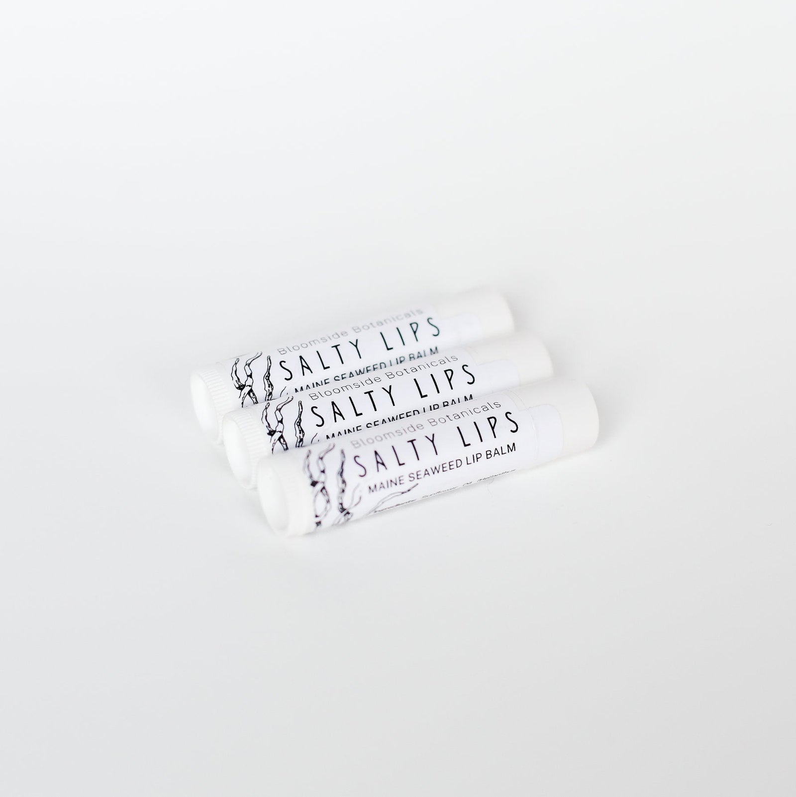 Salty Lips - Maine Seaweed Lip Balm - 0.15 oz tube - Bloomside Botanic ...