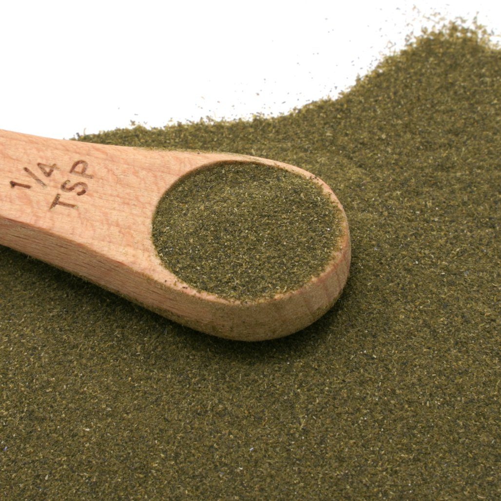 Organic Sea Lettuce Powder Bulk (Ulva spp.) - Wild-Harvested Atlantic ...